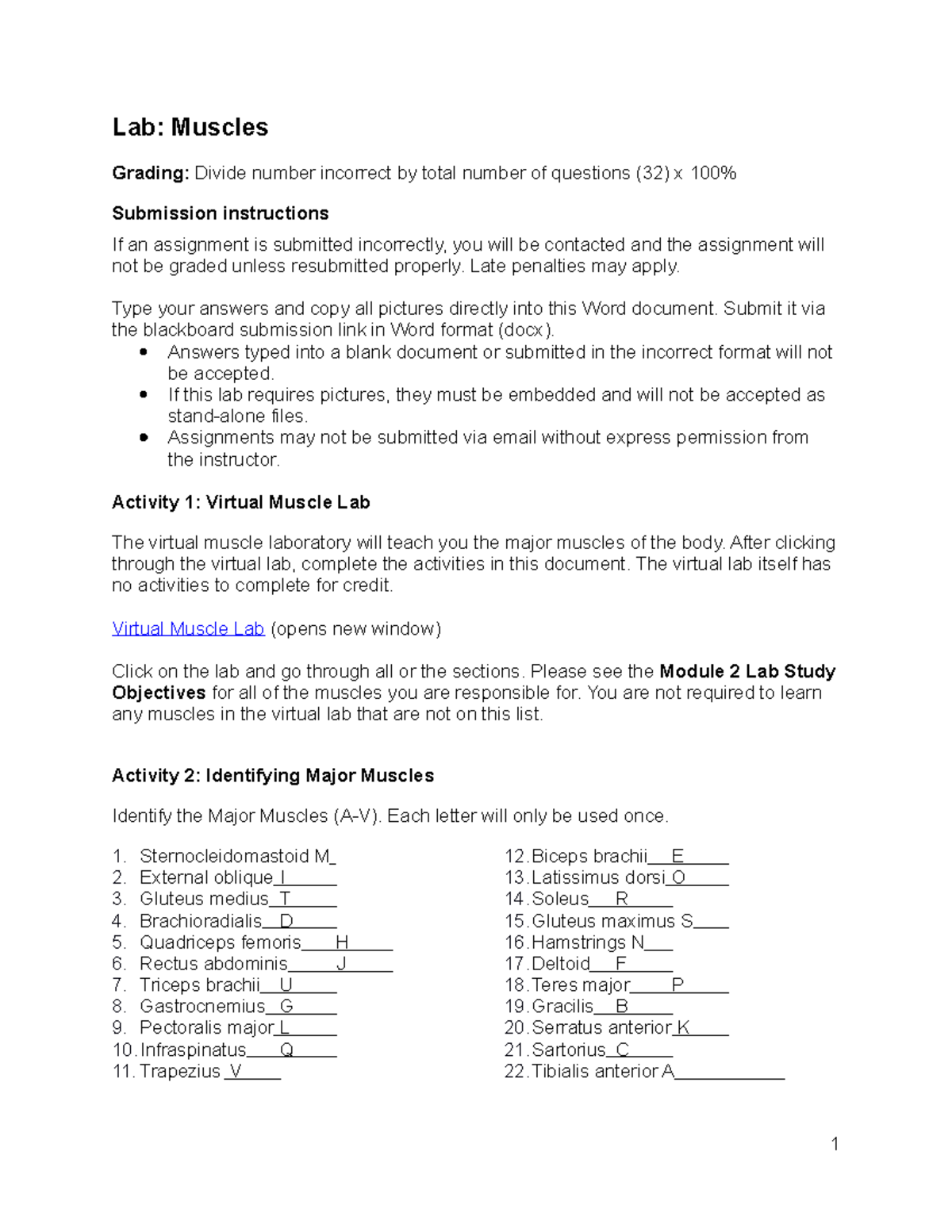 Lab Muscle 1 - N/A - Lab: Muscles Grading: Divide number incorrect by ...