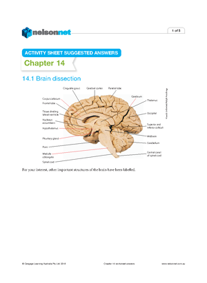 Year 10 Science Yearly Examination Revision Questions - Year 10 Yearly ...