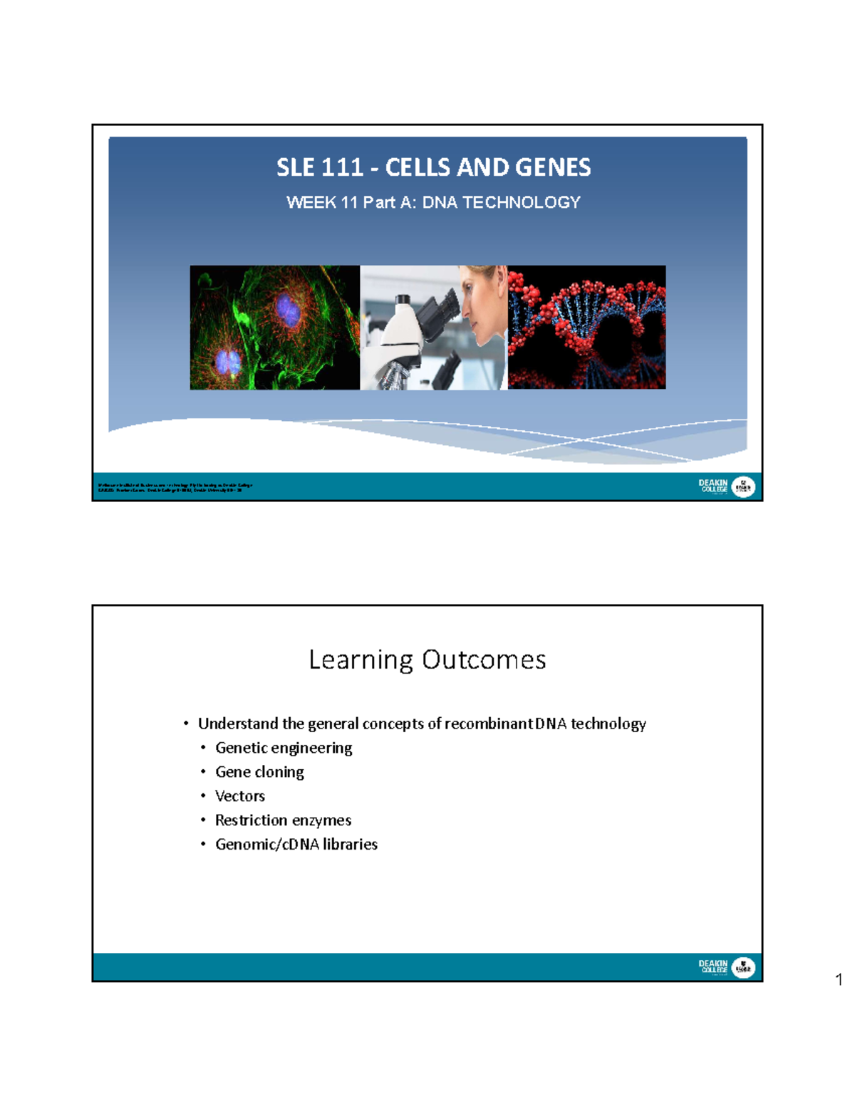 Week 11a - DNA technology - SLE 111 - CELLS AND GENES WEEK 11 Part A ...