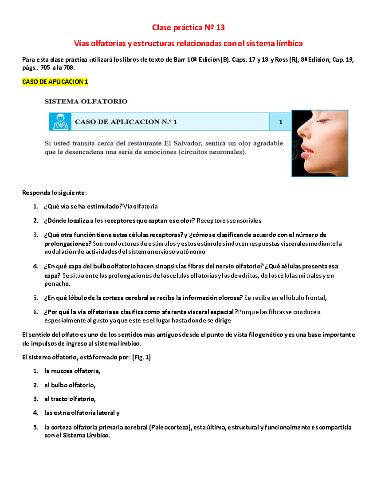 Clase práctica Nº 13 microanatomia - Clase pr·ctica N∫ 13 VÌas olfatorias y estructuras ...