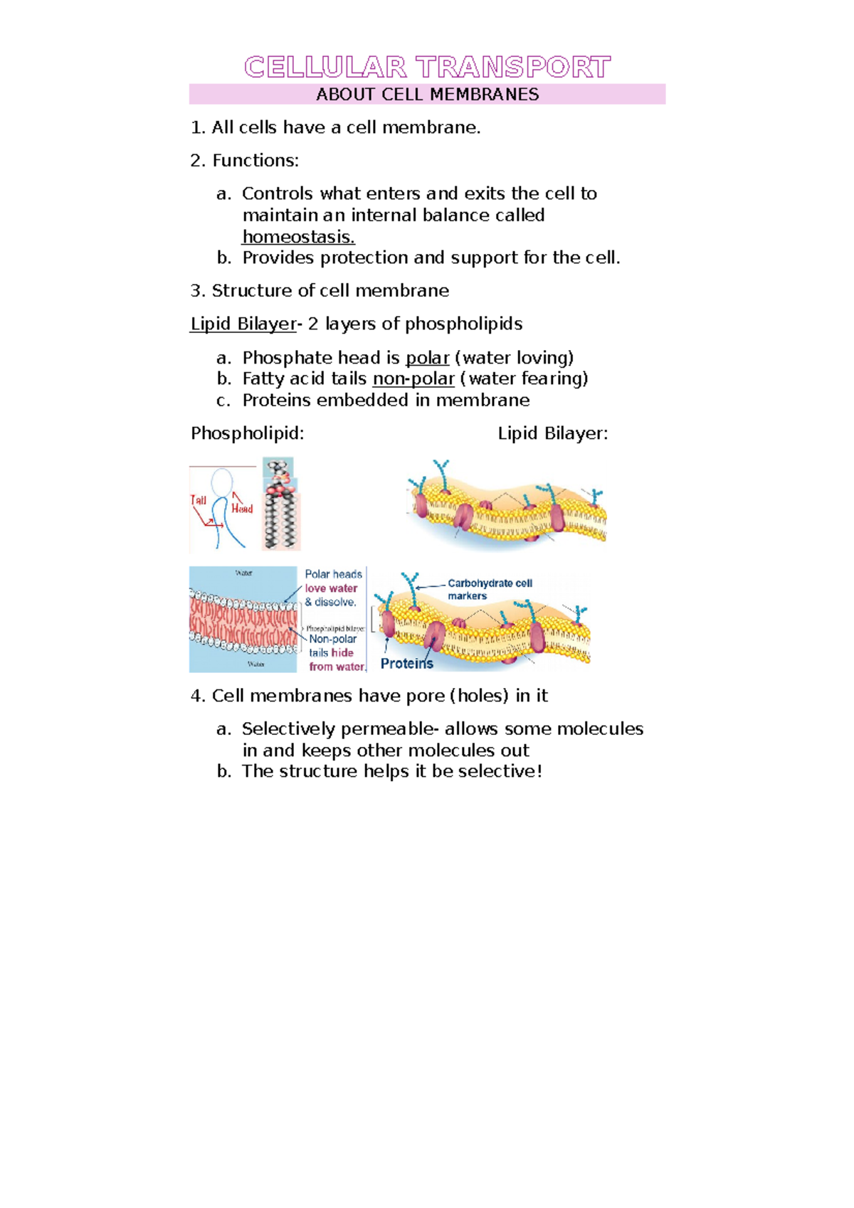 Biochem- CELL Transport - ABOUT CELL MEMBRANES All cells have a cell ...