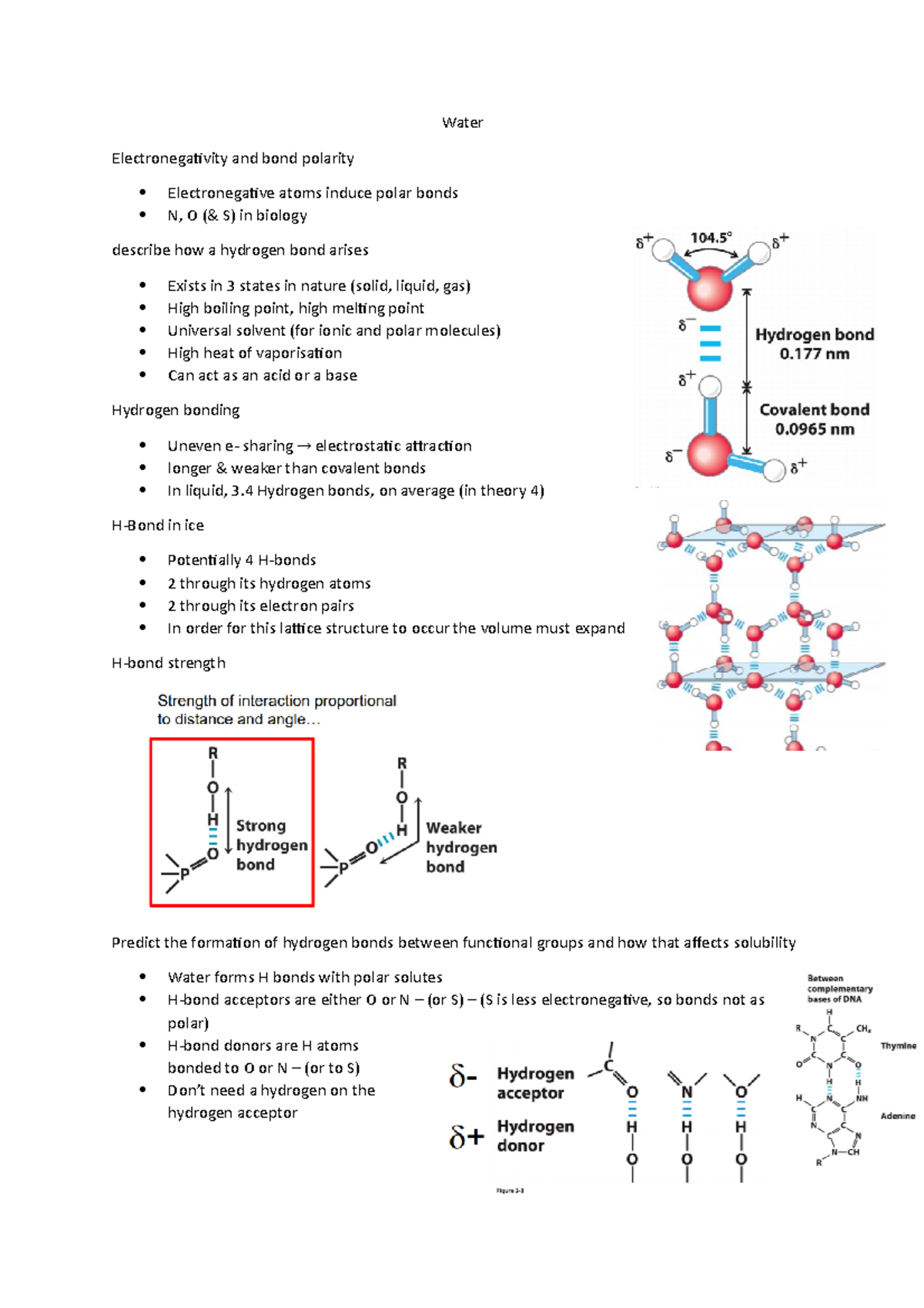 Topic-2-Water - the biochemistry of water - Water Electronegativity and ...