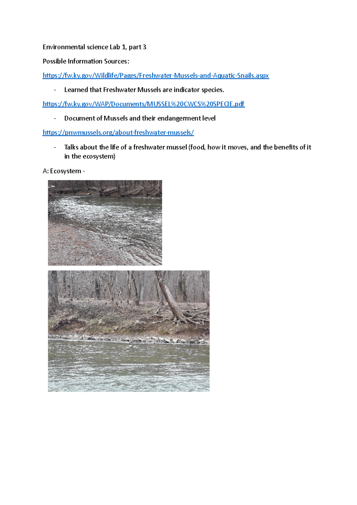 Environmental science, Lab 1, part 3 - Environmental science Lab 1 ...