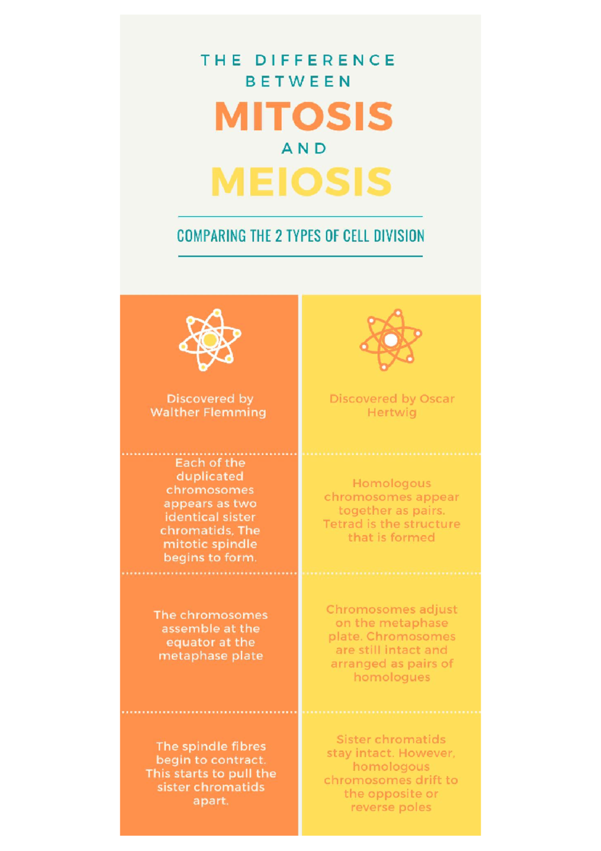 Springael M3 Post-Task Lecture - General Psychology - FEU - Studocu
