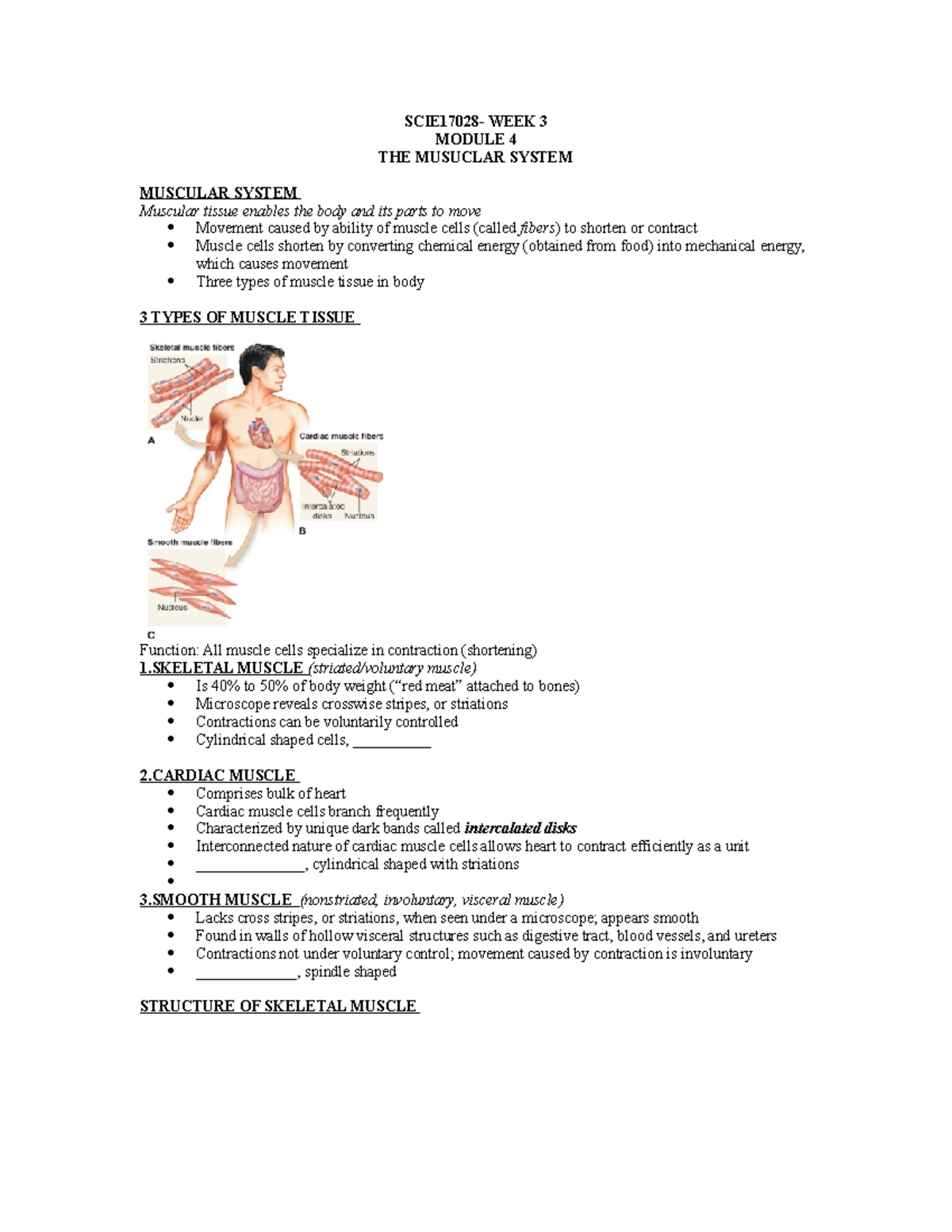 SCIE17028: Module 4 - The Muscular System - Lecture notes - SCIE17028 ...