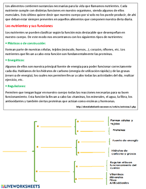 Ejercicio de español - Importante - ESCUELA OFICIAL BILINGÜE SIMEÓN ...