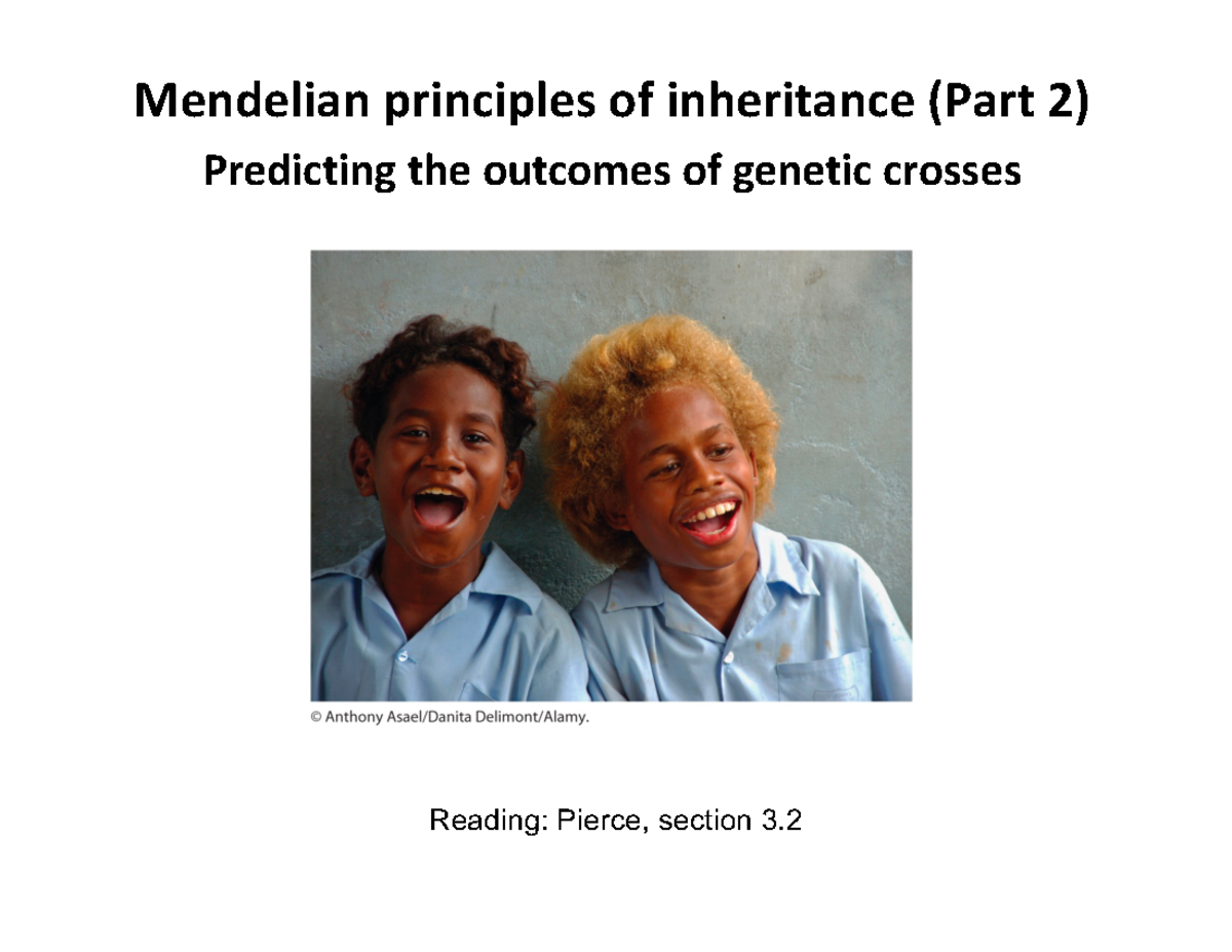4 Mendel part 2 - Part Two - Mendelian principles of inheritance (Part ...
