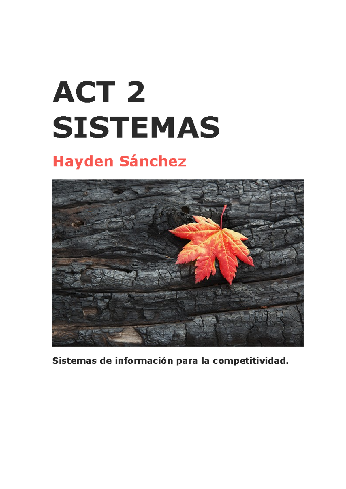 Act 2 sistemas de información - ACT 2 SISTEMAS Hayden Sánchez Sistemas de información para la ...
