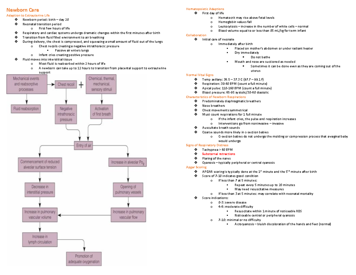 EXAM II Notes - Newborn Care Adaption to Extrauterine Life Newborn ...