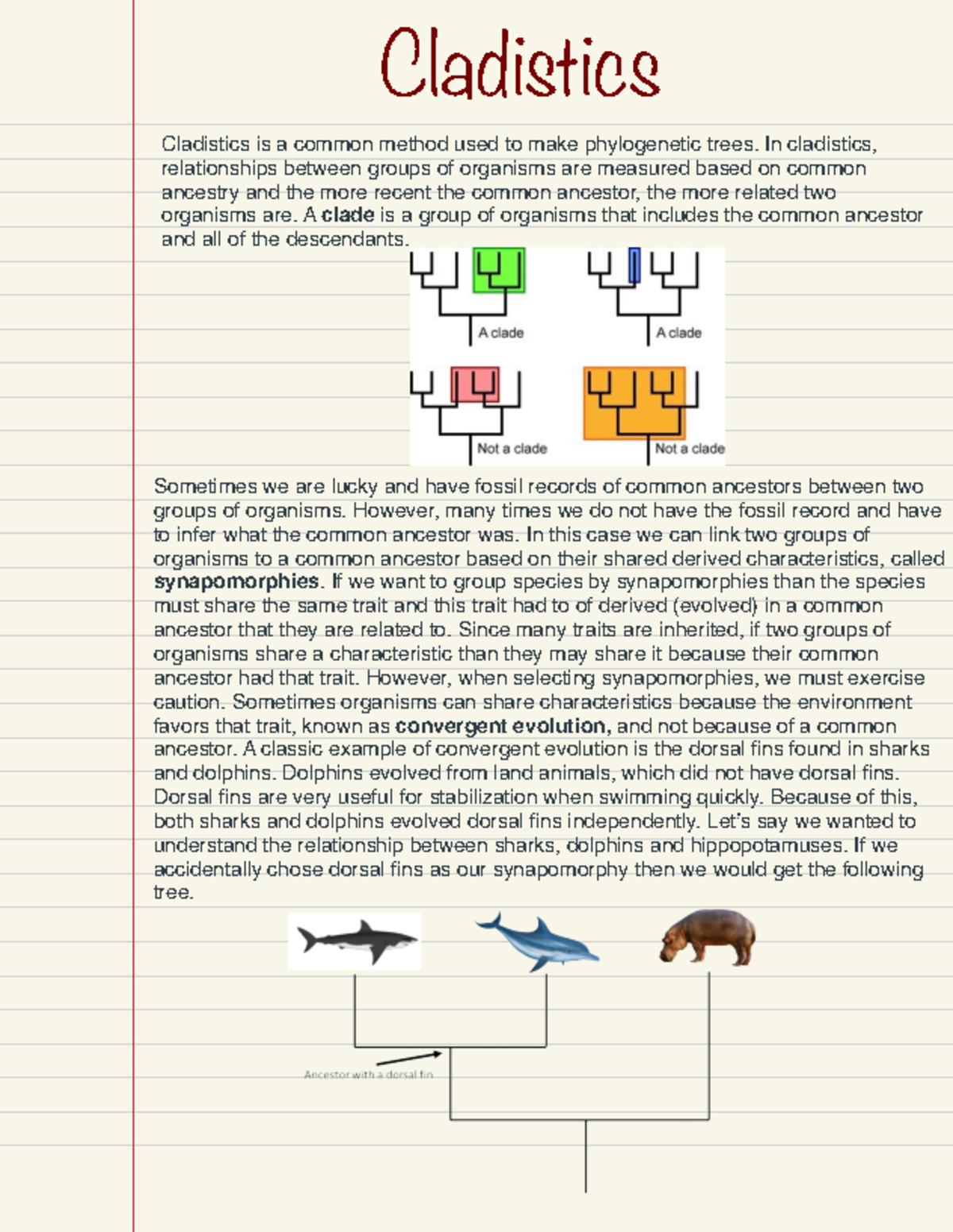 Biology Lab (BSC1011C)-3 - Cladistics Cladistics is a common method ...