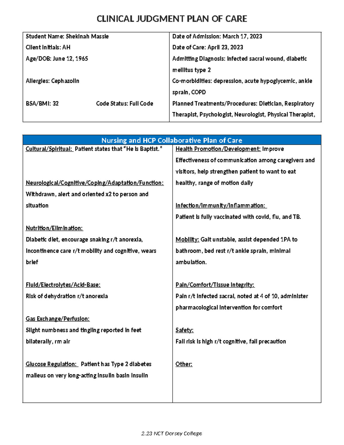 Clinical Judgement Plan of Care - CLINICAL JUDGMENT PLAN OF CARE ...