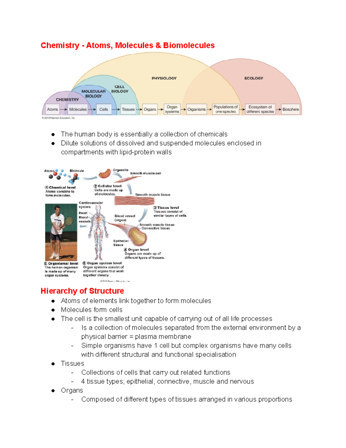 Topic 2 Atoms & Molecules - Chemistry - Atoms, Molecules & Biomolecules ...