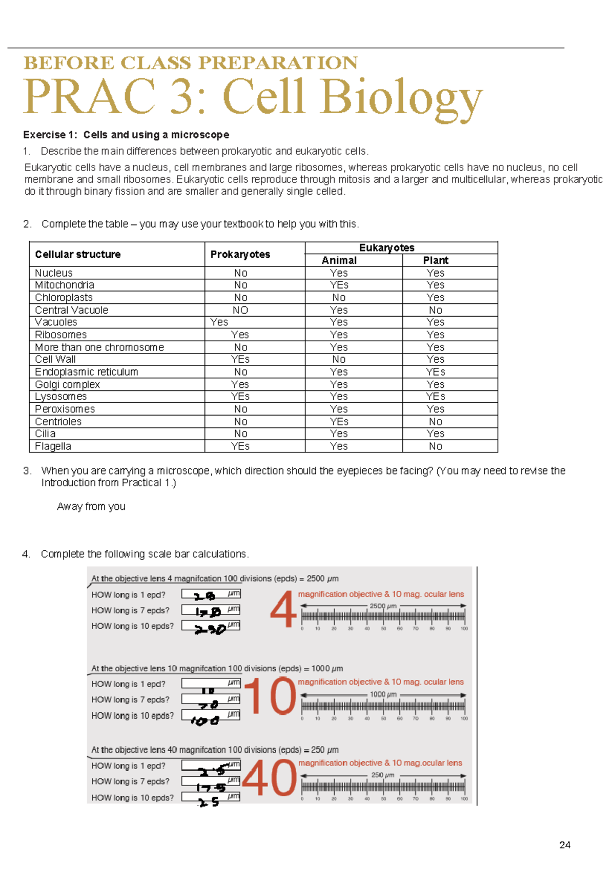 BIOL1020 Prac 3 - Microscopy & Mitosis - BEFORE CLASS PREPARATION PRAC 3: Cell Biology ...