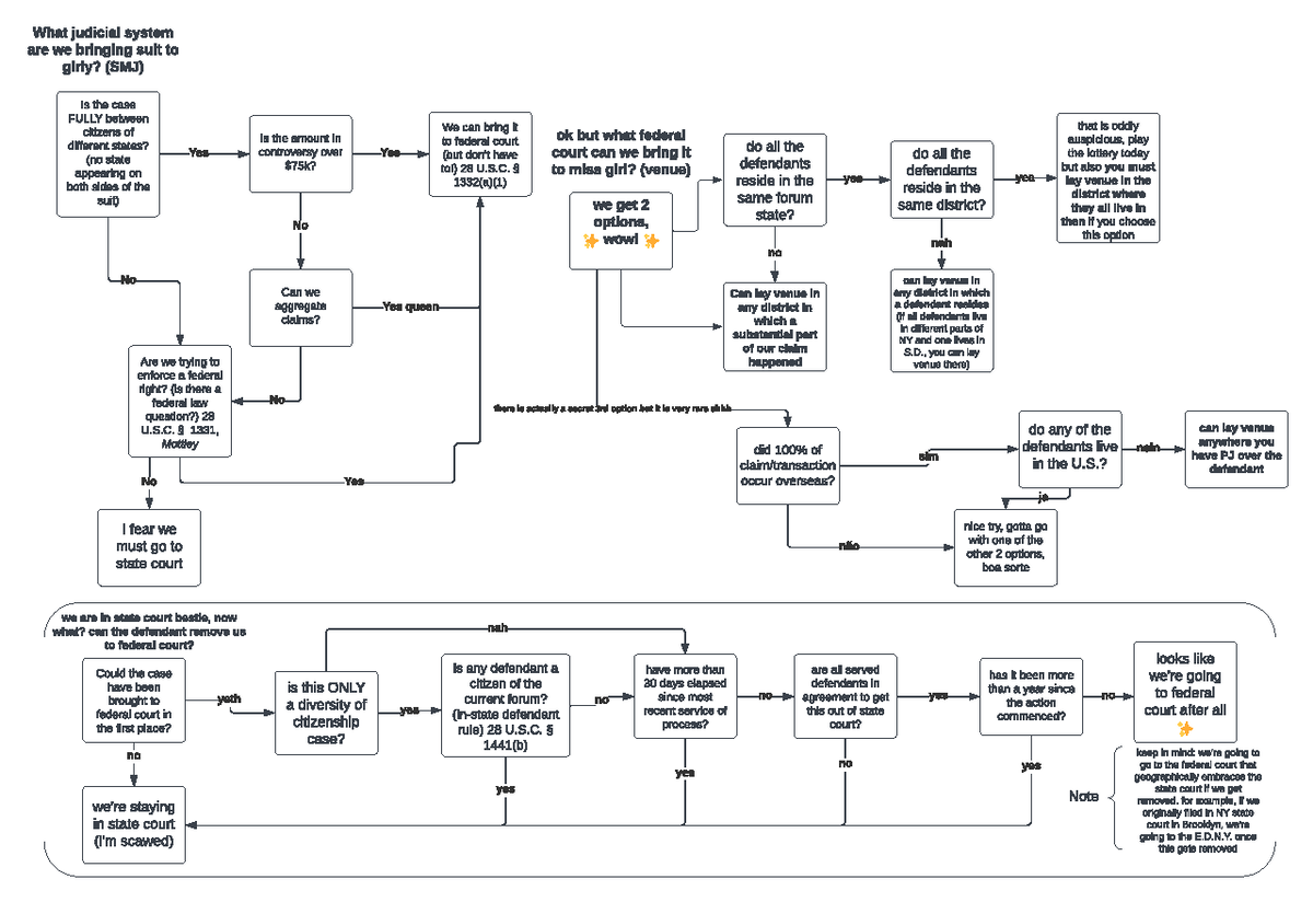 Civ Pro Flowcharts - What judicial system are we bringing suit to girly ...