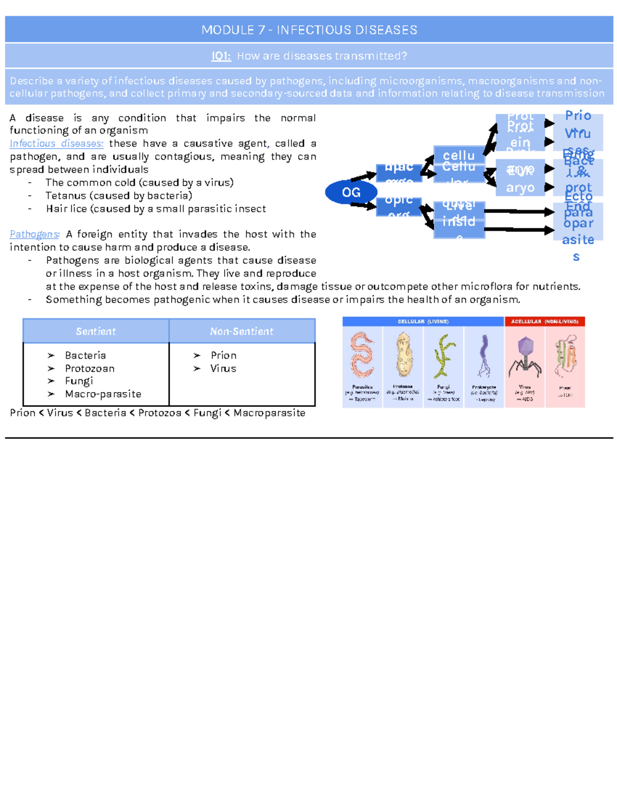 Module 7 - Infectious Diseases - MODULE 7 - INFECTIOUS DISEASES IQ1 ...