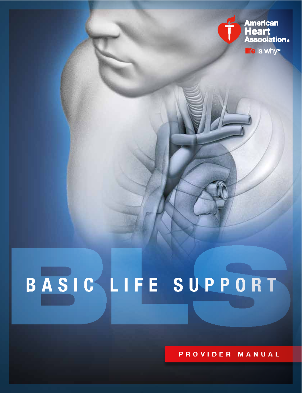 BLS - helps with class - BLS B A S I C L I F E S U P P O R T P R O V I ...