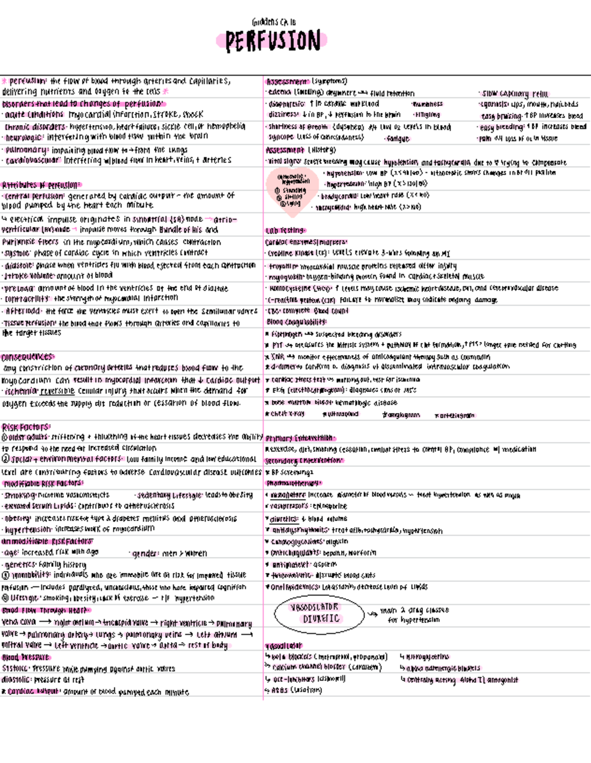 Perfusion - preview notes - Giddens Ch PERFUSION * perfusion : the flow ...