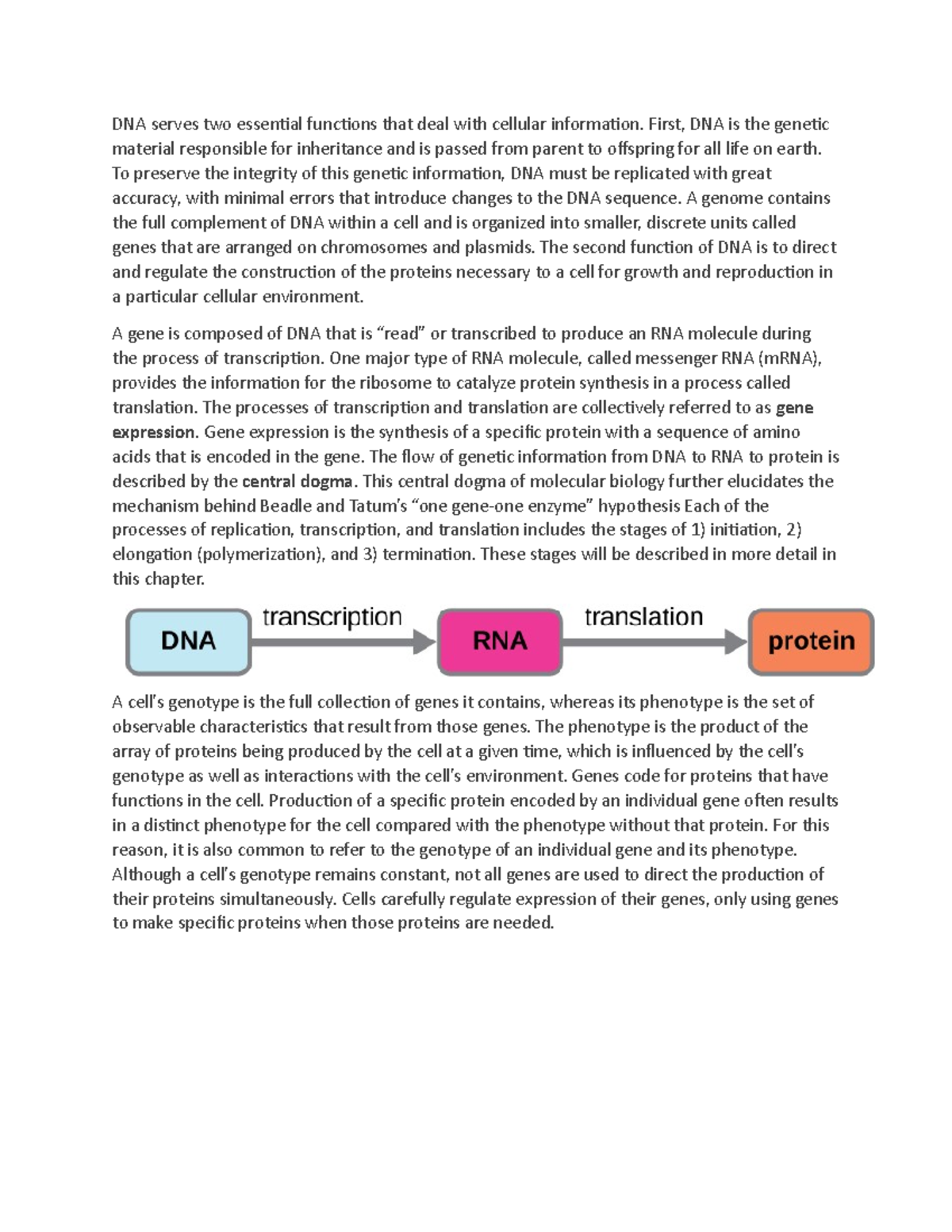 The Functions of Genetic Material - 17976 - BCU - Studocu