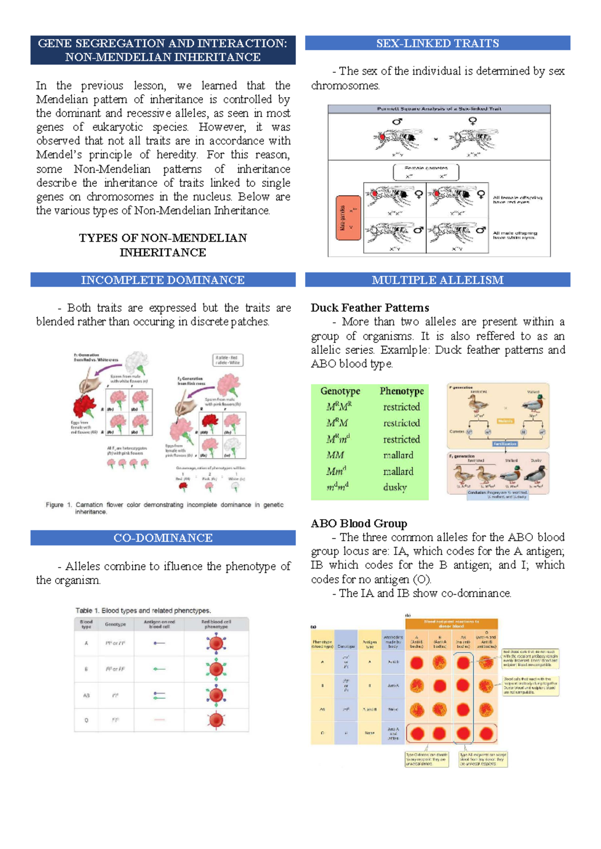 Group 3 - Genetics - GENE SEGREGATION AND INTERACTION: NON-MENDELIAN ...