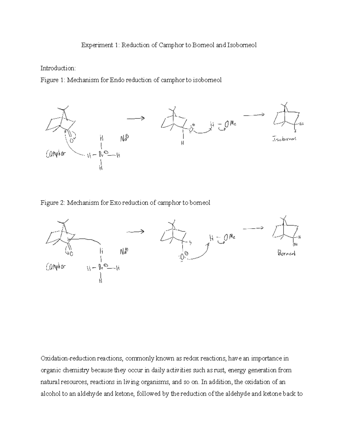 Camphor lab report - Experiment 1: Reduction of Camphor to Borneol and ...