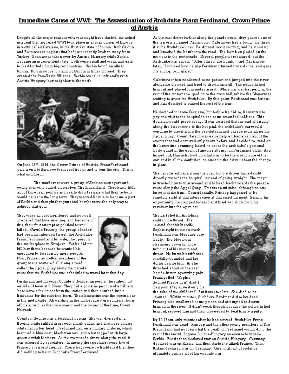 Immediate Cause of WWI - Assassination of the Archduke - Immediate ...