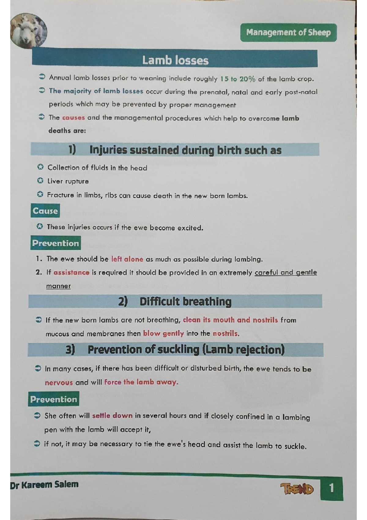 Management of sheep 2 - Animal behavior - Studocu