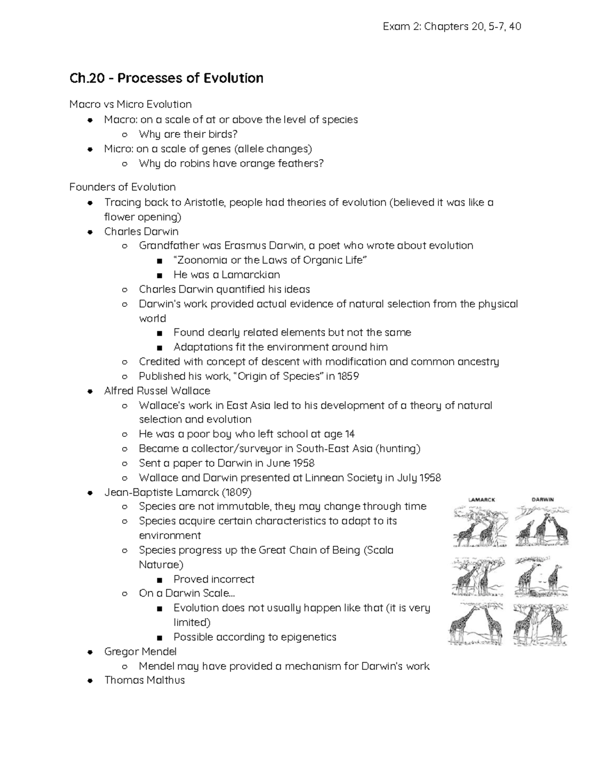 Exam 2 Notes - Covers the following topics: processes of evolution ...
