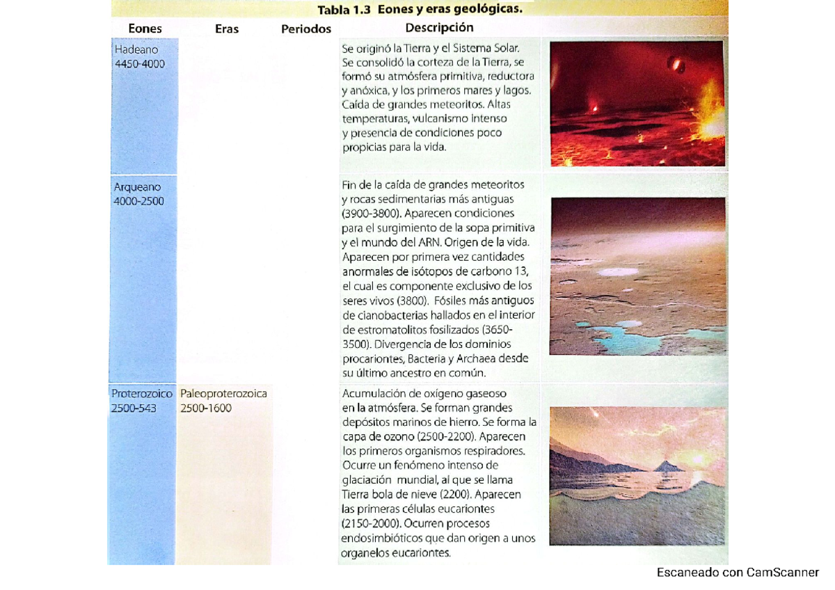 Tabla de eones y eras geológicas - Eones Eras Periodos Descripción ...