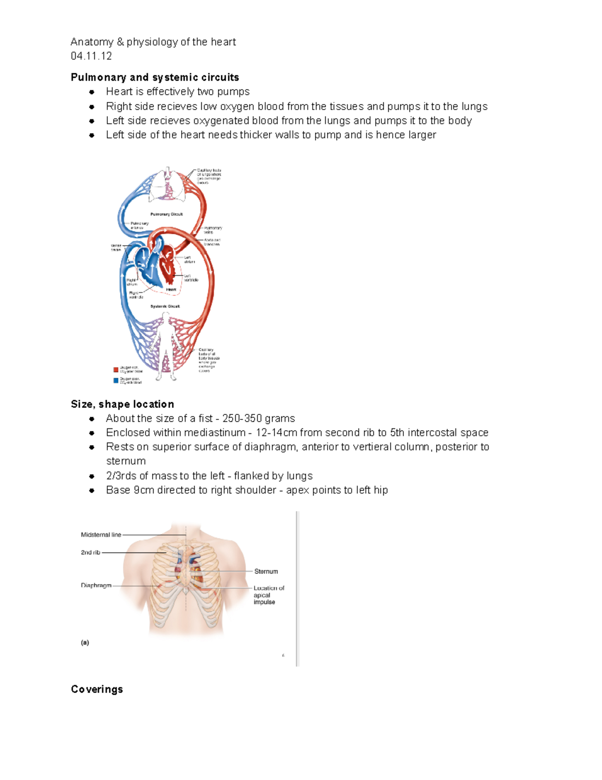 Anatomy of the Heart - 04. Pulmonary and systemic circuits Heart is ...