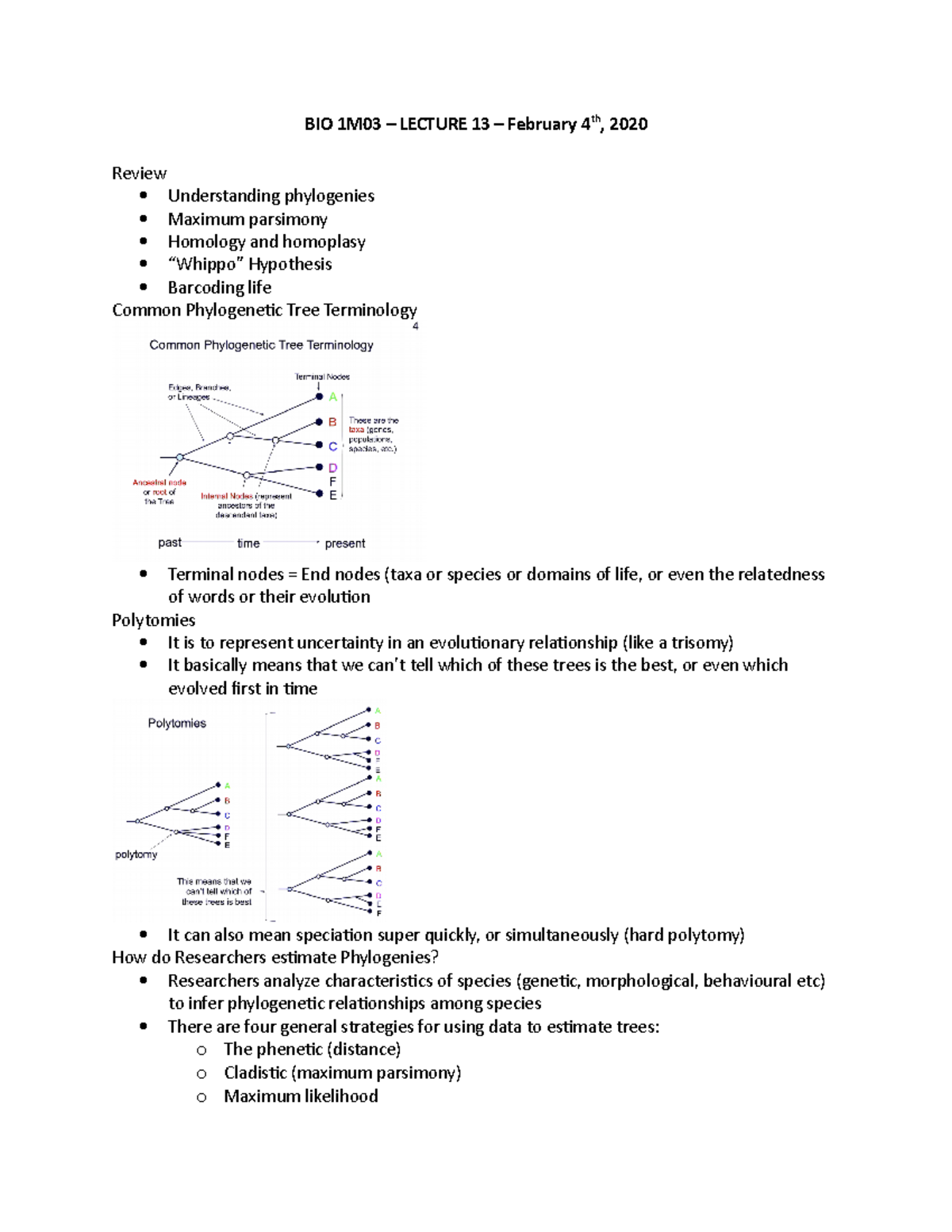 Lecture 13 - BIO 1M03 - BIO 1M03 – LECTURE 13 – February 4th, 2020 ...