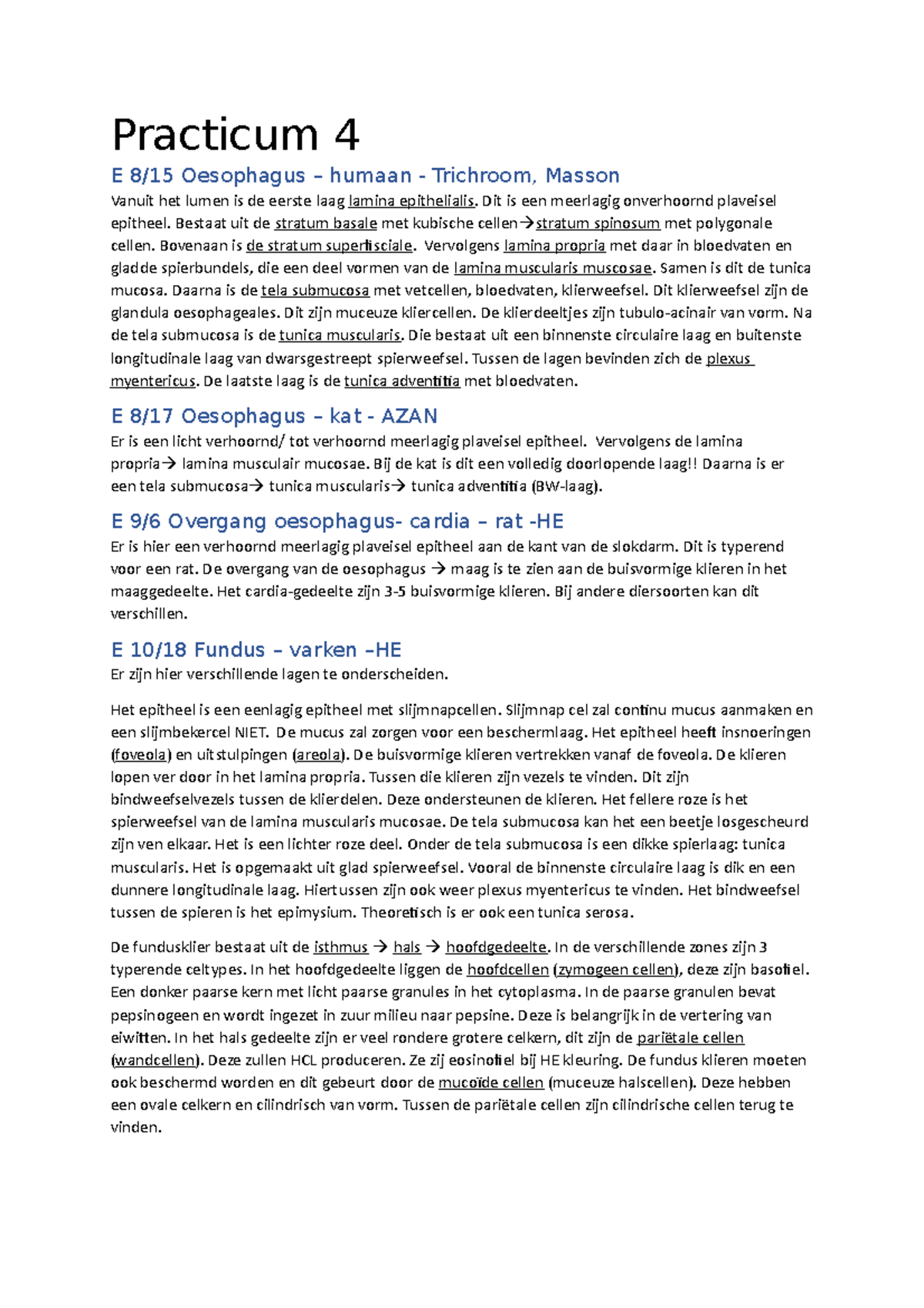 Practicum 4 - Practicum 4 E 8/15 Oesophagus – humaan - Trichroom, Masson Vanuit het lumen is de ...
