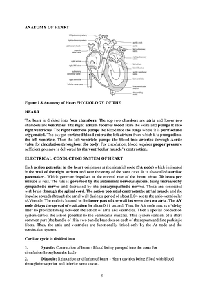 DOC-20230918-WA0023 - Biophysics is a fascinating field that combines ...
