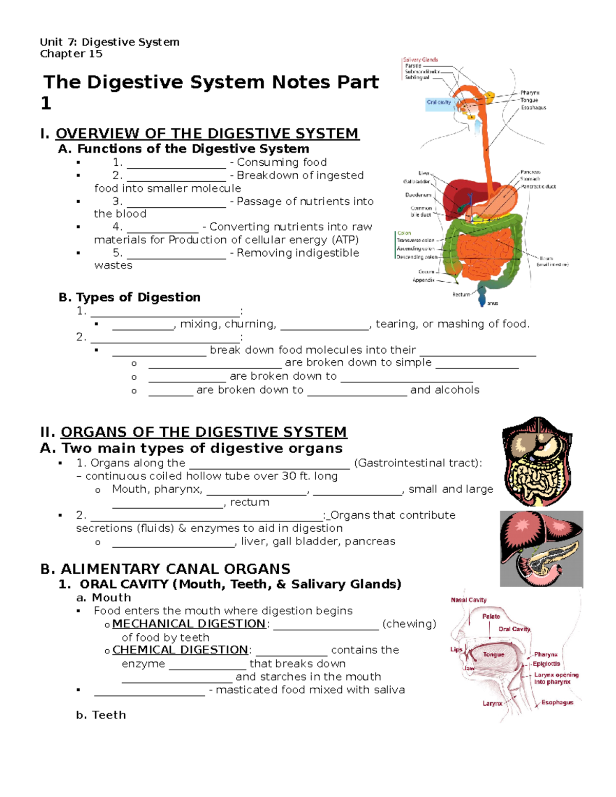 Digestive System PT 1-2 Fill-In - Unit 7: Digestive System Chapter 15 ...