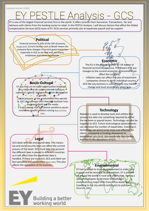 Sample+ Pestle+Analysis+AAA - PESTLE Analysis & Financial Report for ...