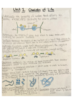 Unit 1- biochemistry review sheet - Biochemistry Student Objectives ...
