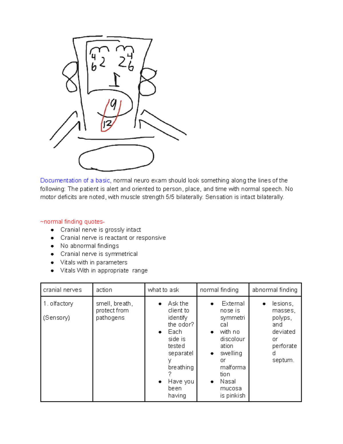Cranial nerve - Documentation of a basic, normal neuro exam should look ...