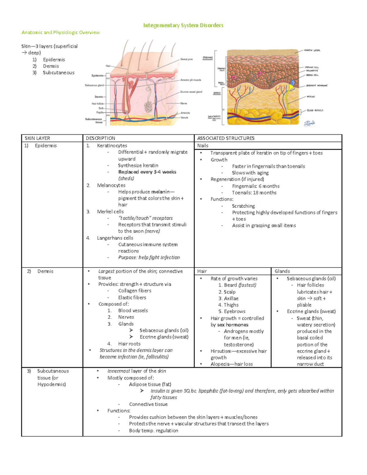 Integumentary Notes - Integumentary System Disorders Anatomic and ...