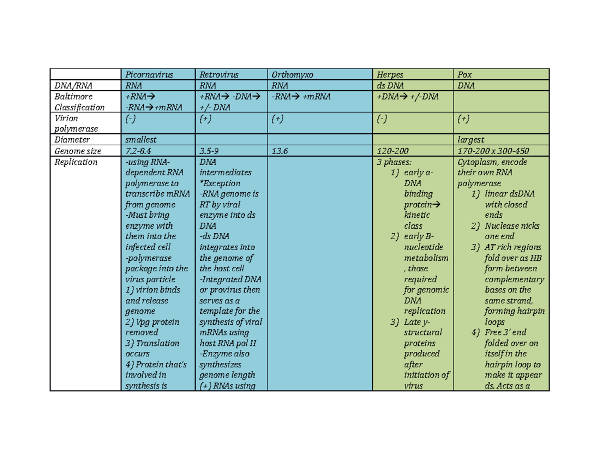 Virus Comparison Chart - Baltimore Classification Virion polymerase ...