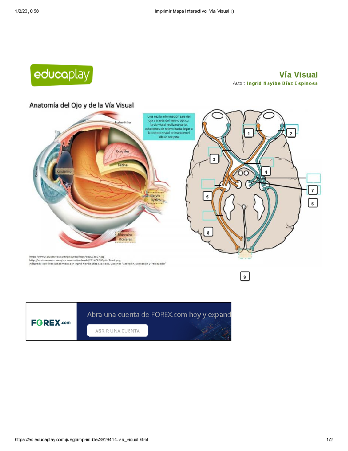 Imprimir Mapa Interactivo Vía Visual () - educaplay/juegoimprimible ...