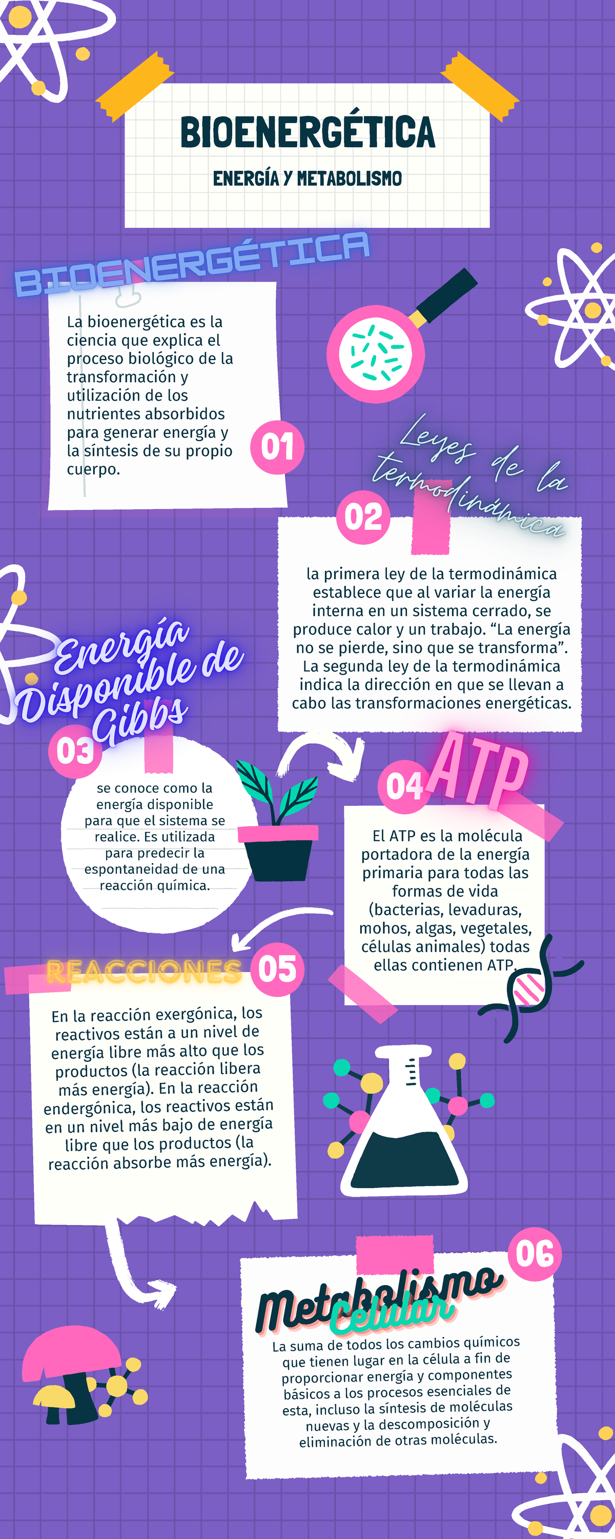 Infografia Bioquimica - La suma de todos los cambios químicos que ...