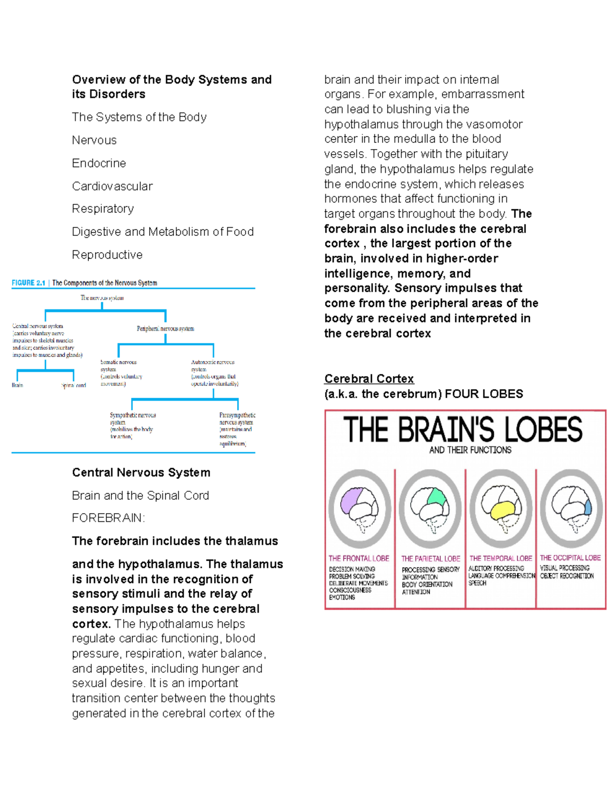 Overview of the body systems- Health psychology - Overview of the Body ...