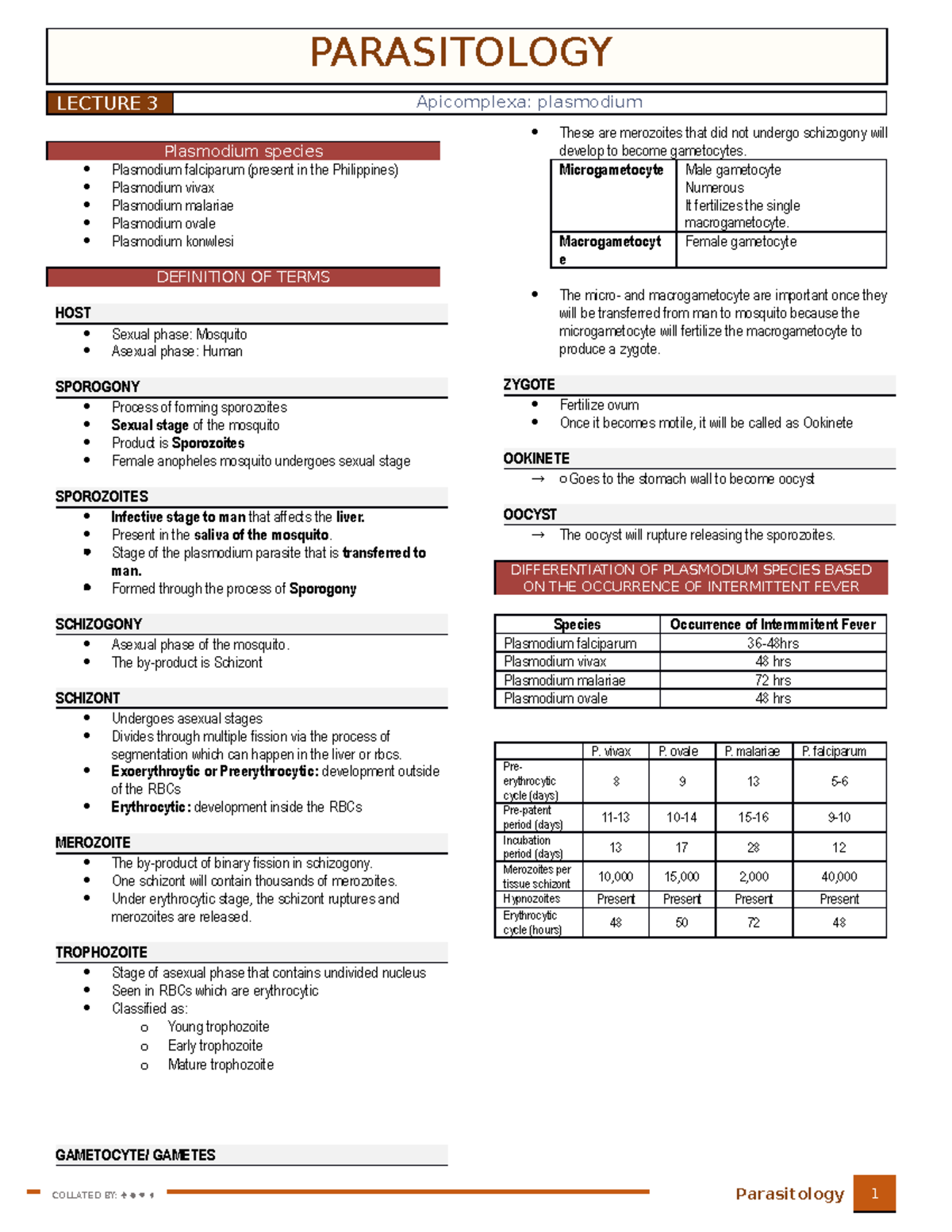 4- Apicomplexa- Plasmodium - PARASITOLOGY LECTURE 3 Apicomplexa ...