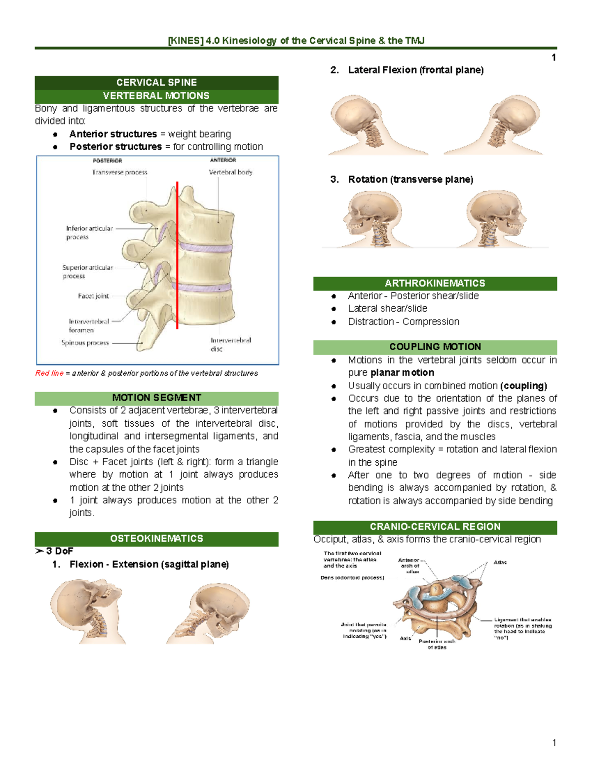 Kines-4 - bones and muscle - 1 CERVICAL SPINE VERTEBRAL MOTIONS Bony ...