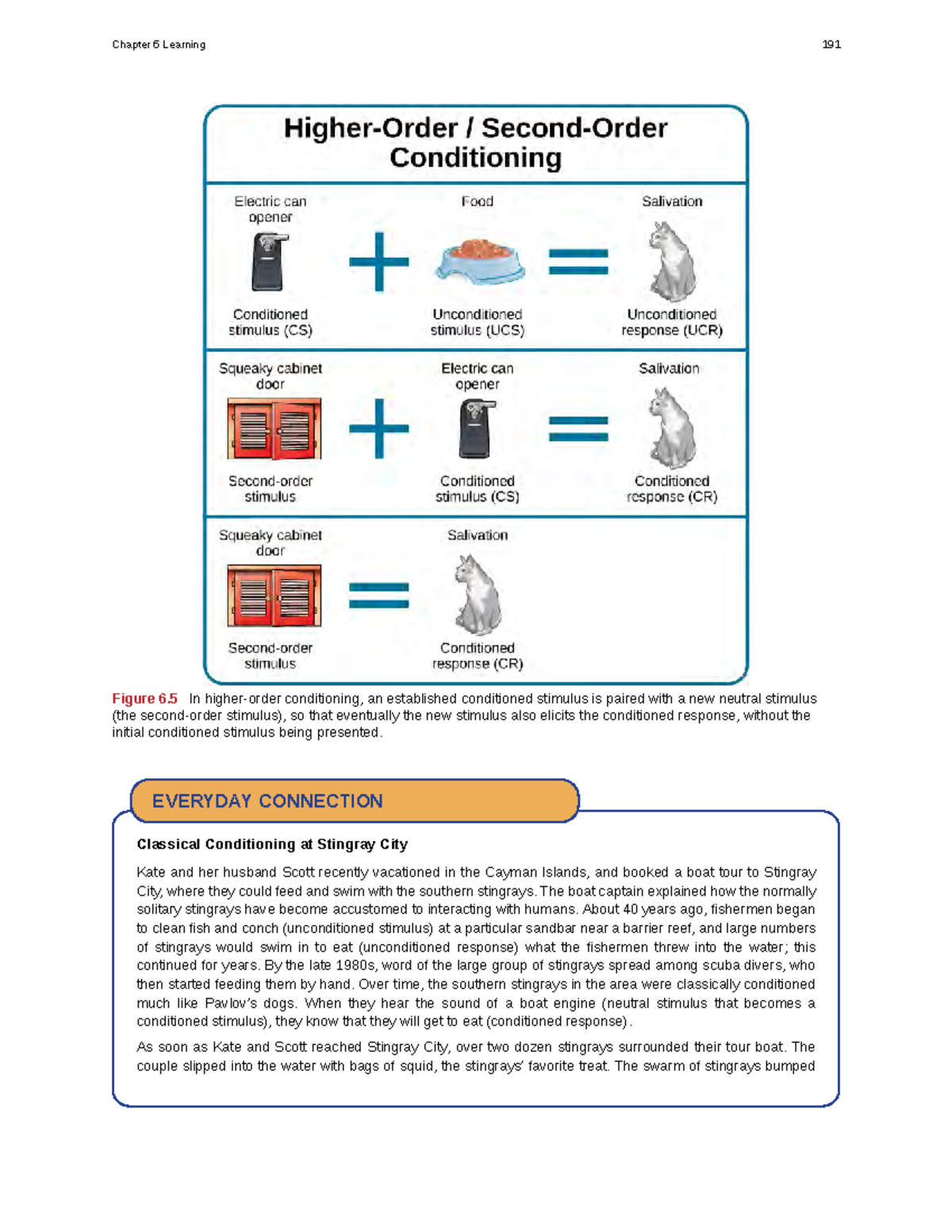 Psychology-LR-67 - Tugas - Figure 6 In higher-order conditioning, an ...