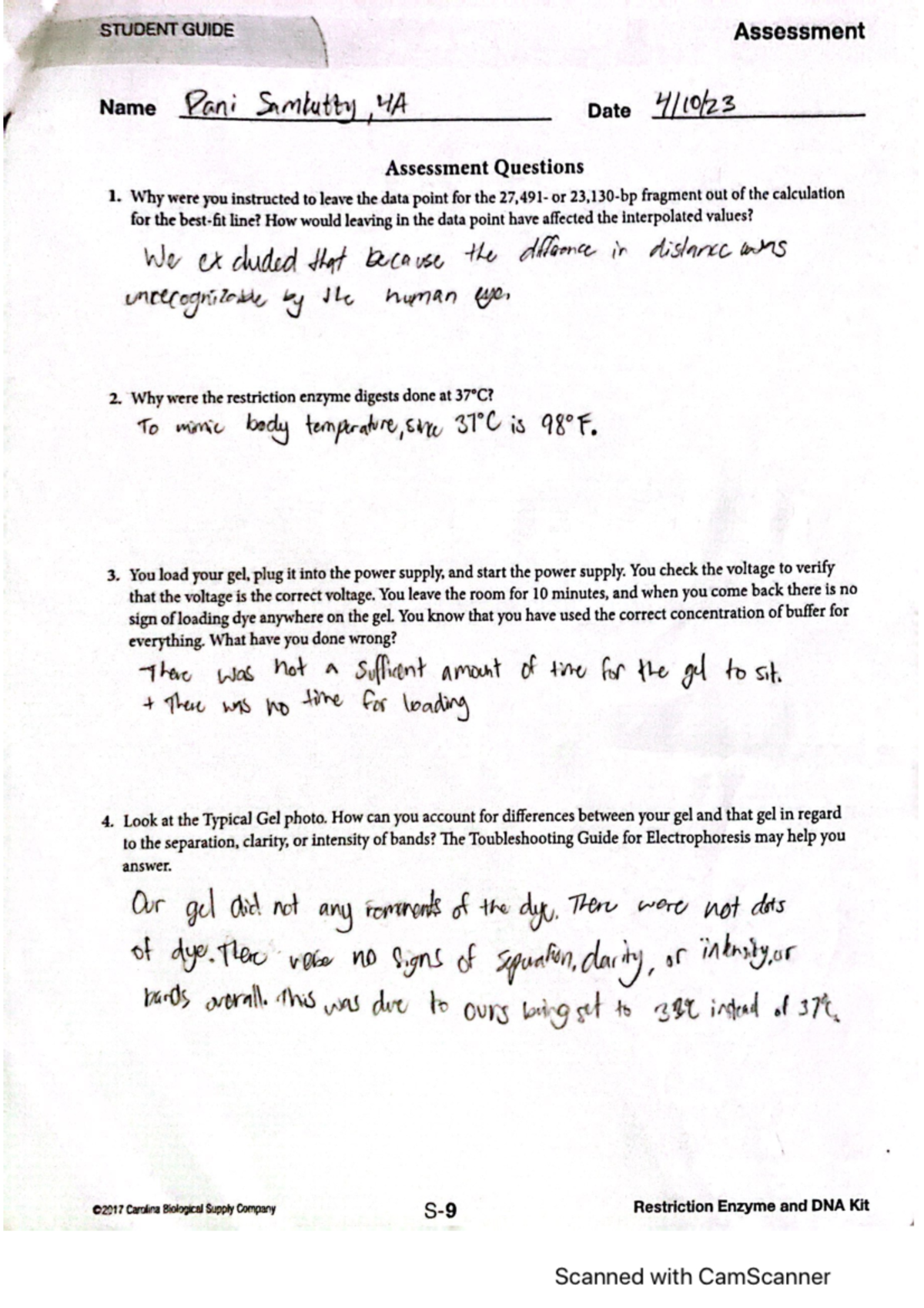 Restriction Enzyme POST LAB(IB Bio) - Studocu