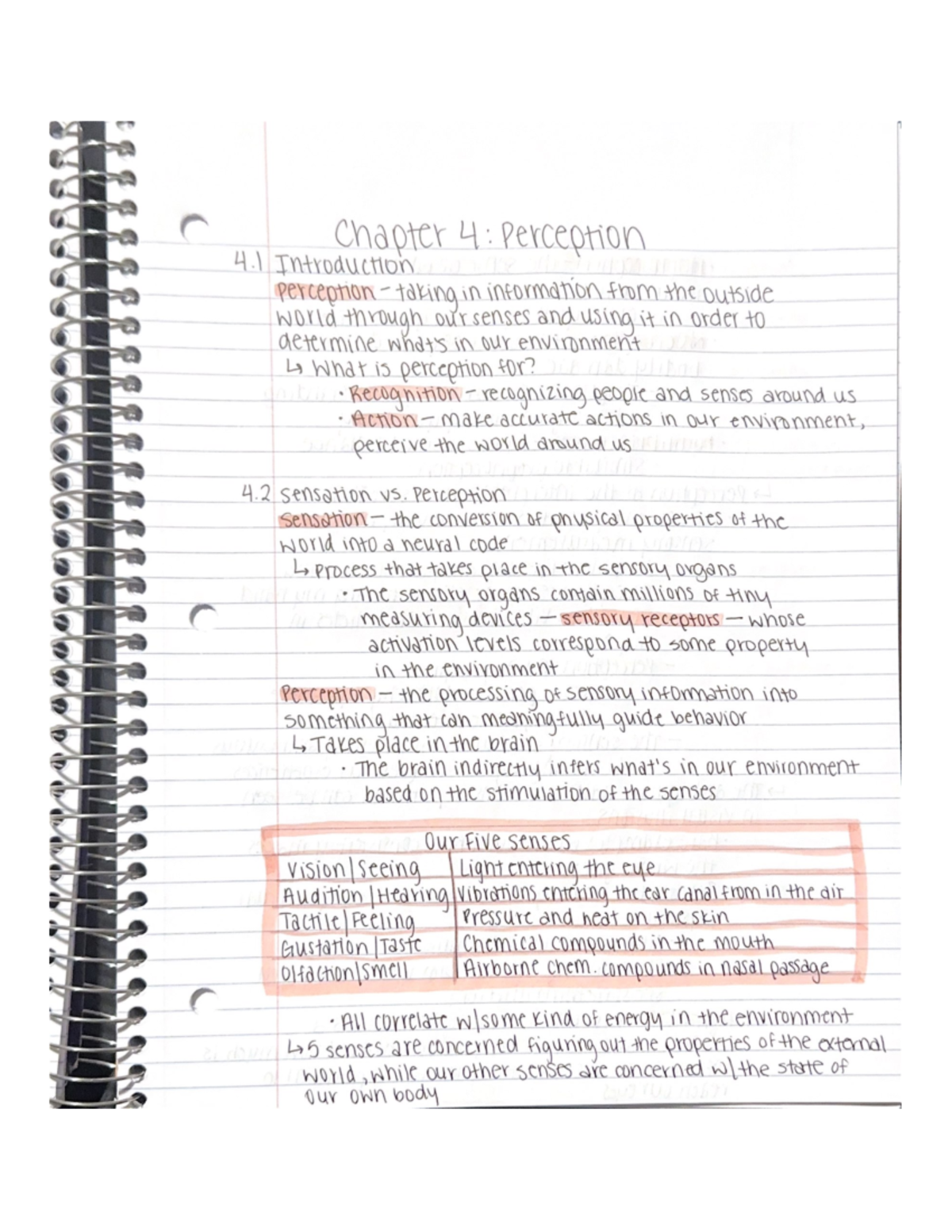 Chapter 4 - Senses and perceptions - PSYCH 333 - Studocu