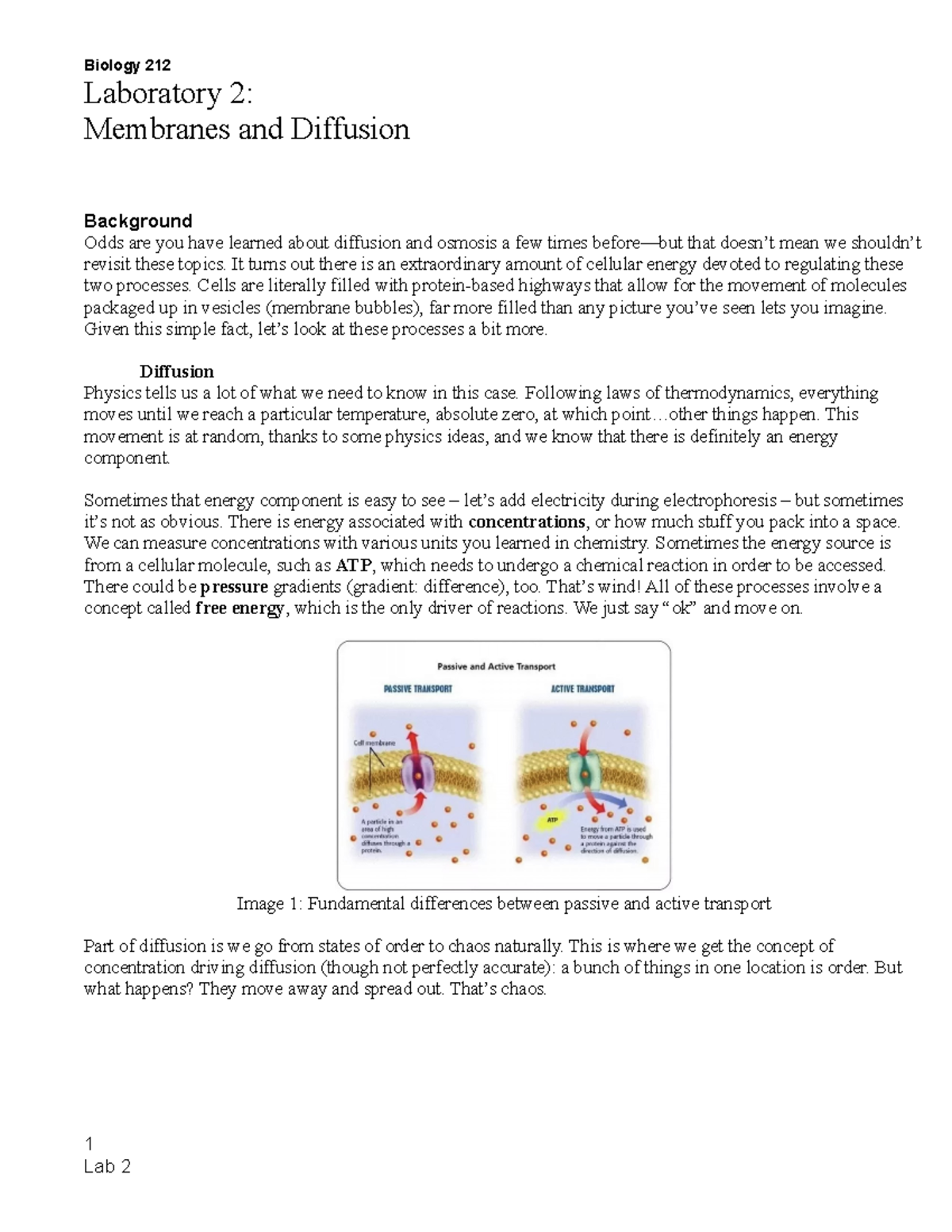 Lab 2 Membranes and Diffusion - Biology 212 Laboratory 2: Membranes and ...