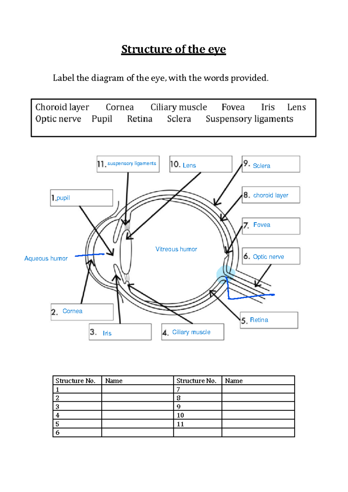 Copy of Structure of the eye - worksheet A - Structure of the eye Label ...