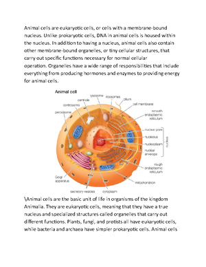 Endoplasmic Reticulum (ER)- Definition, Structure, Functions and ...
