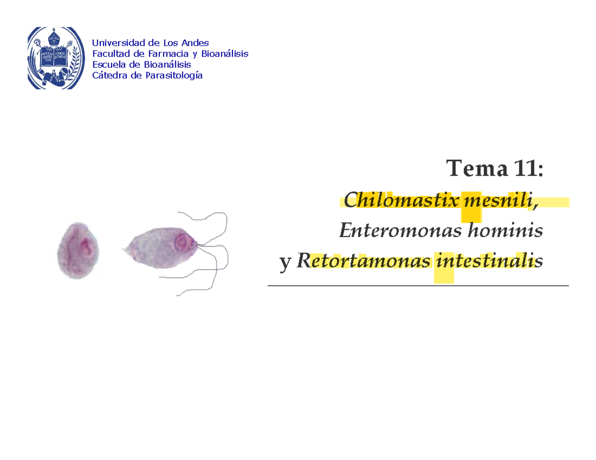 Tema 11 - parasito - Tema 11: Chilomastix mesnili, Enteromonas hominis ...